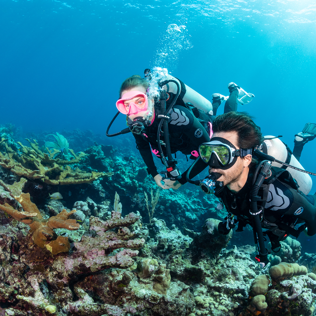 A Comprehensive Guide to Choosing the Best Scuba Diving Gear for Your ...