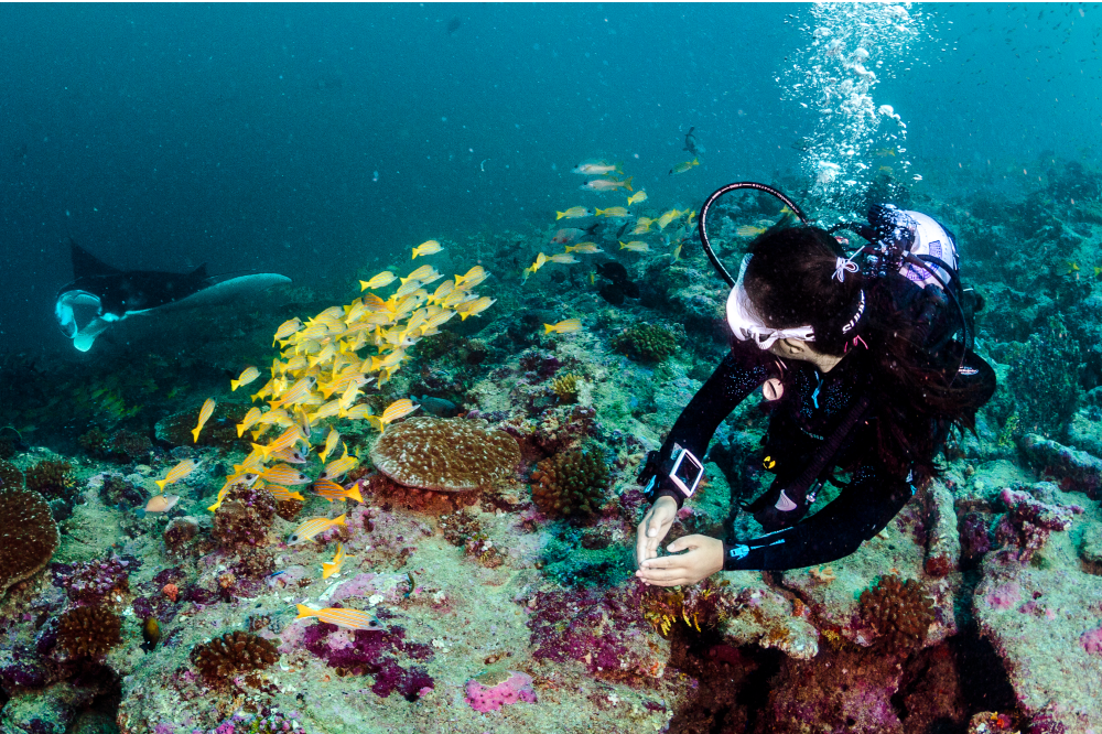 The Connection Between Scuba Diving and Marine Conservation ...