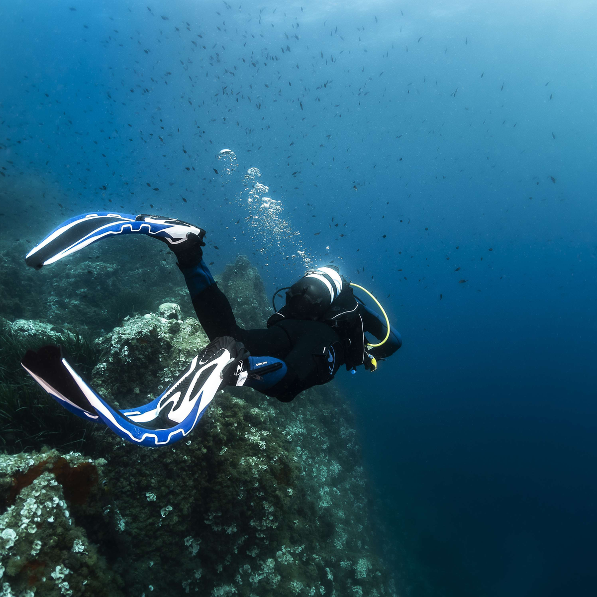 Dive Fins – DiveCatalog.com