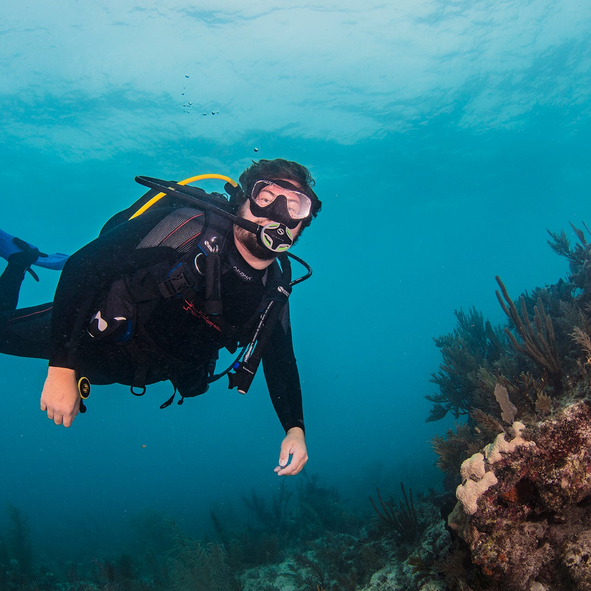 Dive Masks – Page 6 – DiveCatalog.com