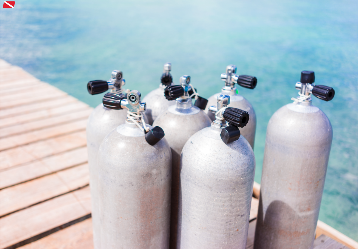 Tank Rental - Aluminum 80 Tank Rentals – DiveCatalog.com